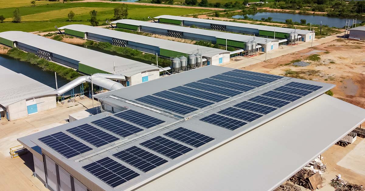 ¿Cómo lograr una cadena de suministro más verde?